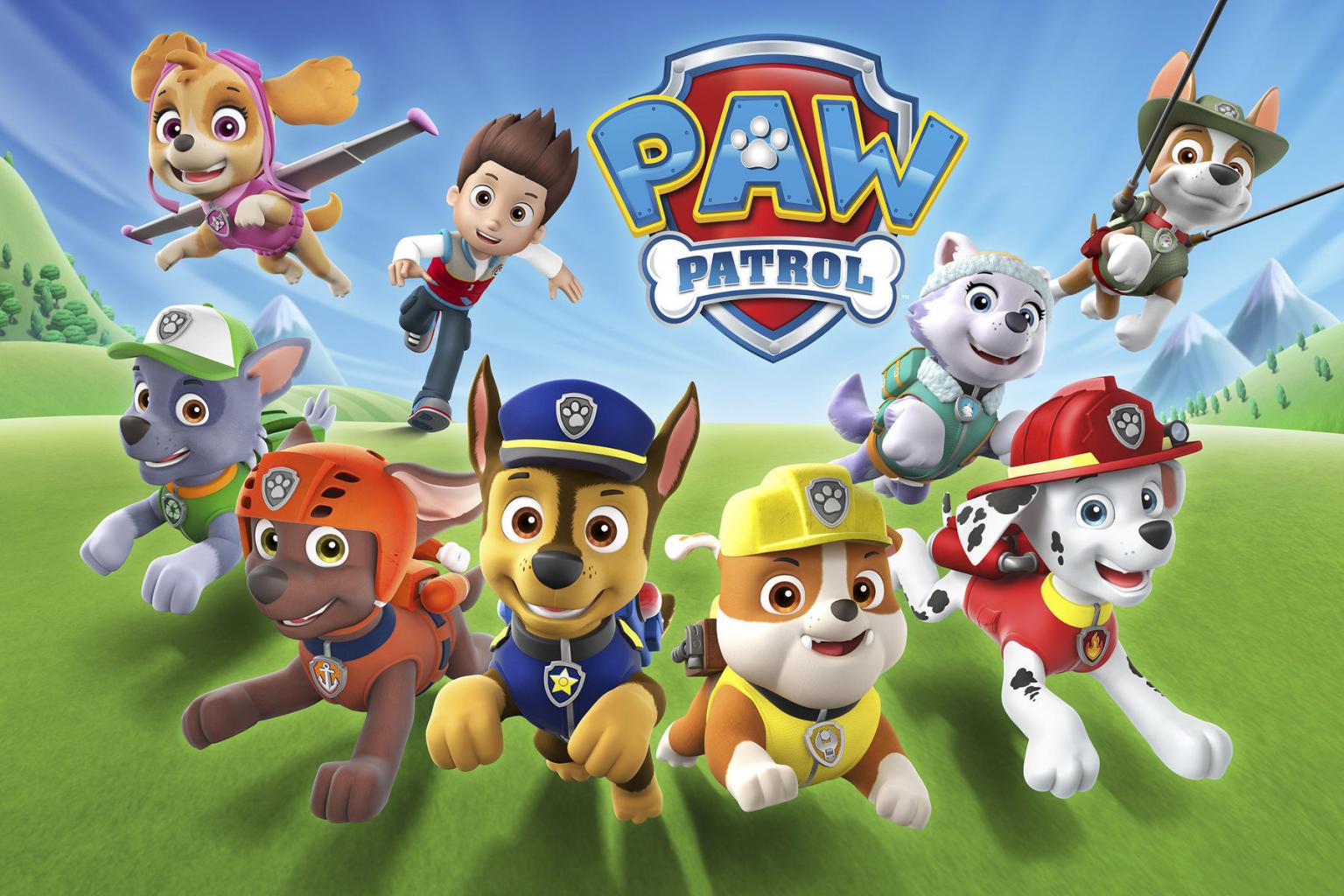 5 Crucial Life Lessons from Paw Patrol (That Every Child and Some ...